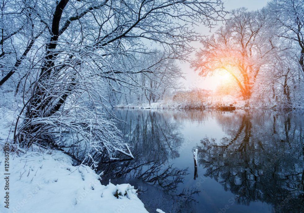 Dead of Winter | Religious Naturalist Association